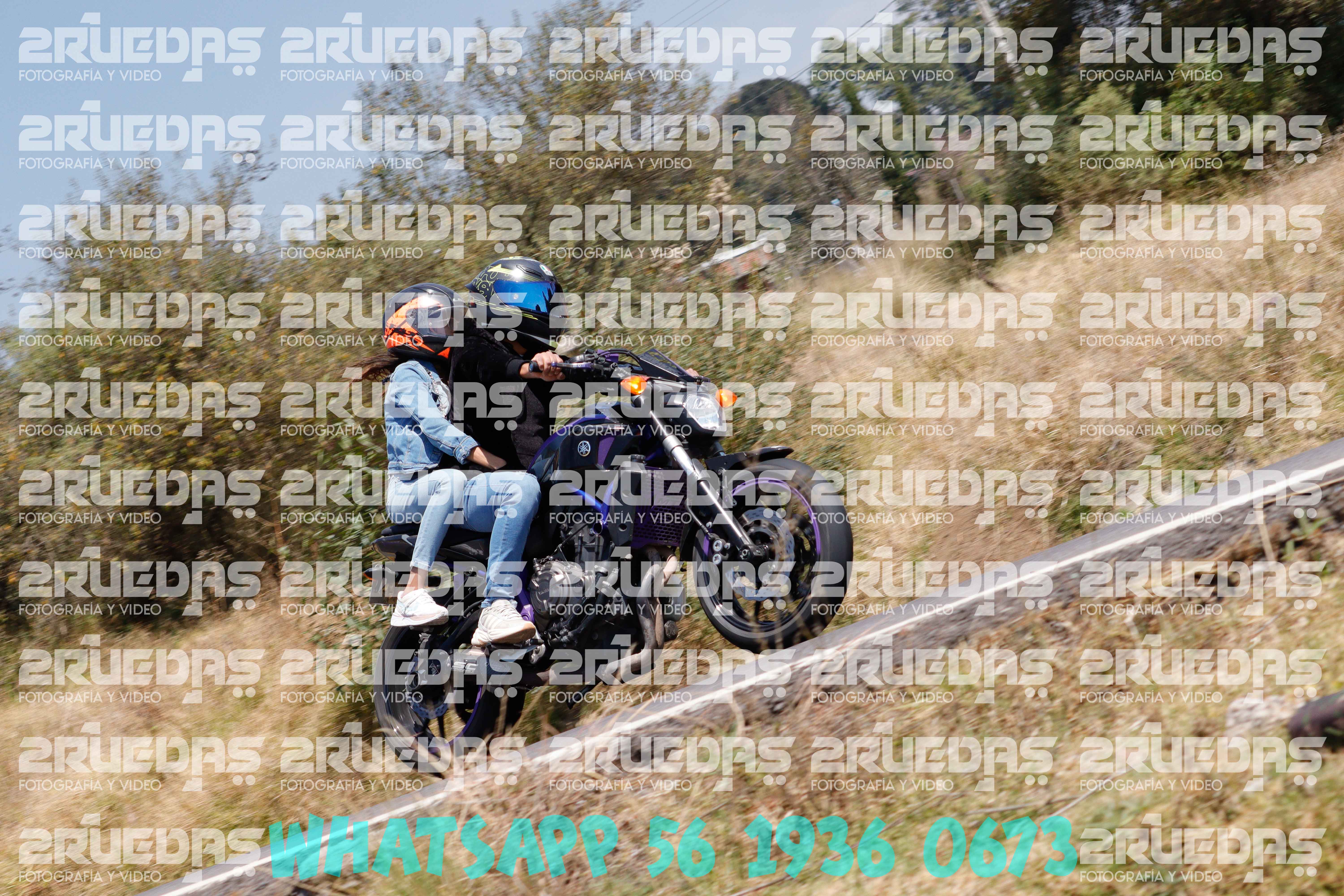 MG 1079 — Postimages