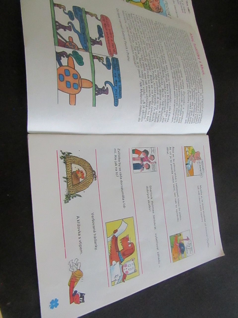 IMG 4098 — Postimages