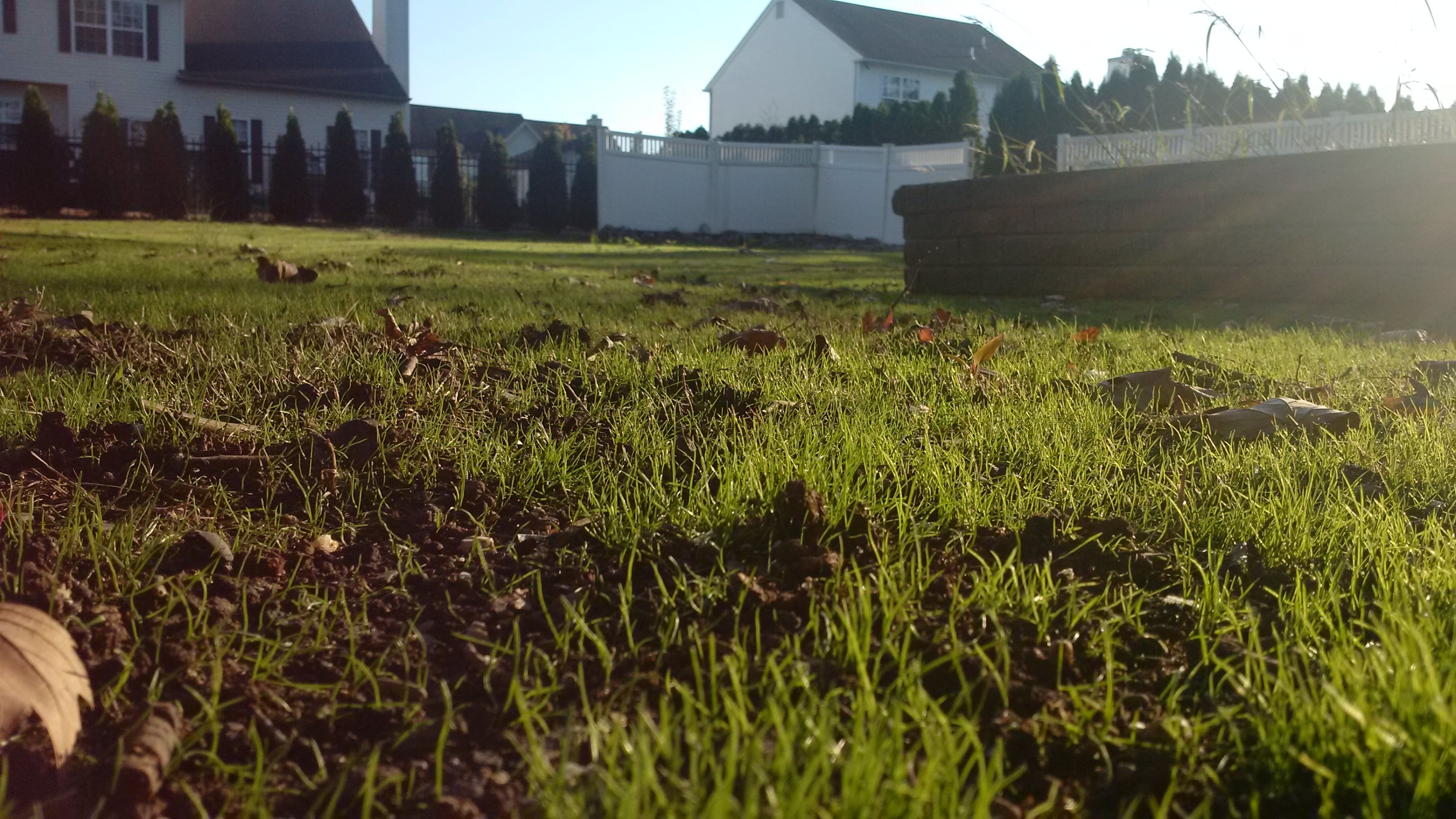 Backyard 18 days as of Oct 5th — Postimages