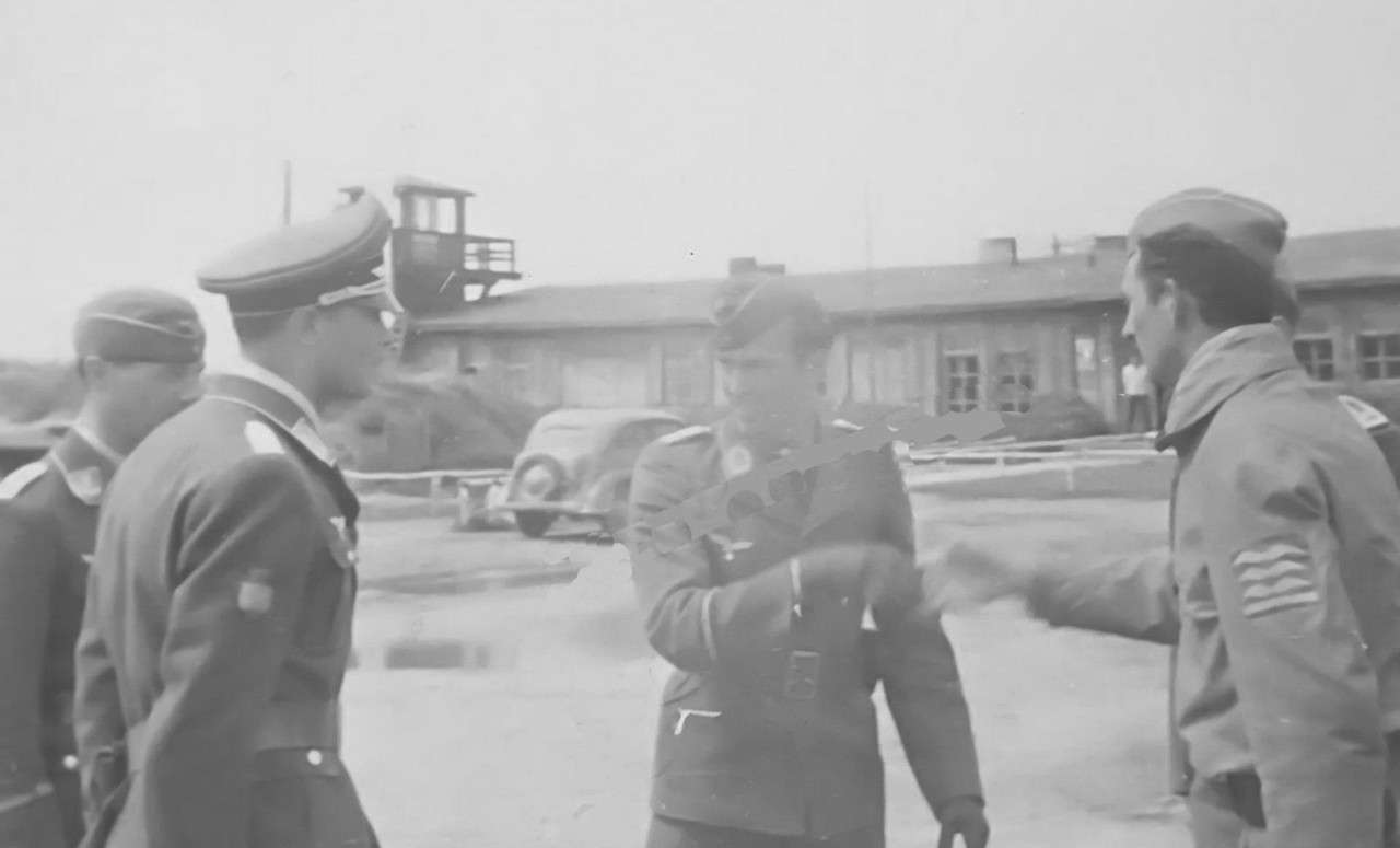 escuadrilla zul — Postimages