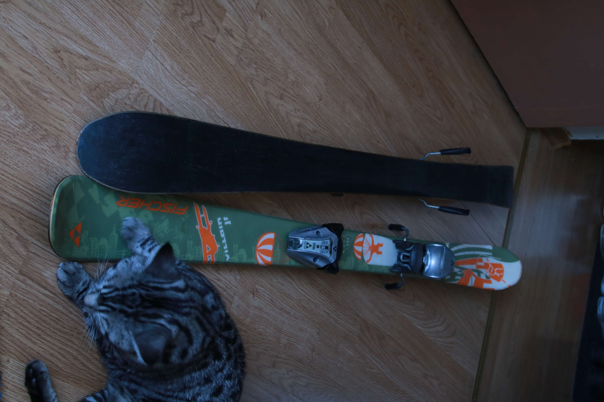 IMG 1243 — Postimages