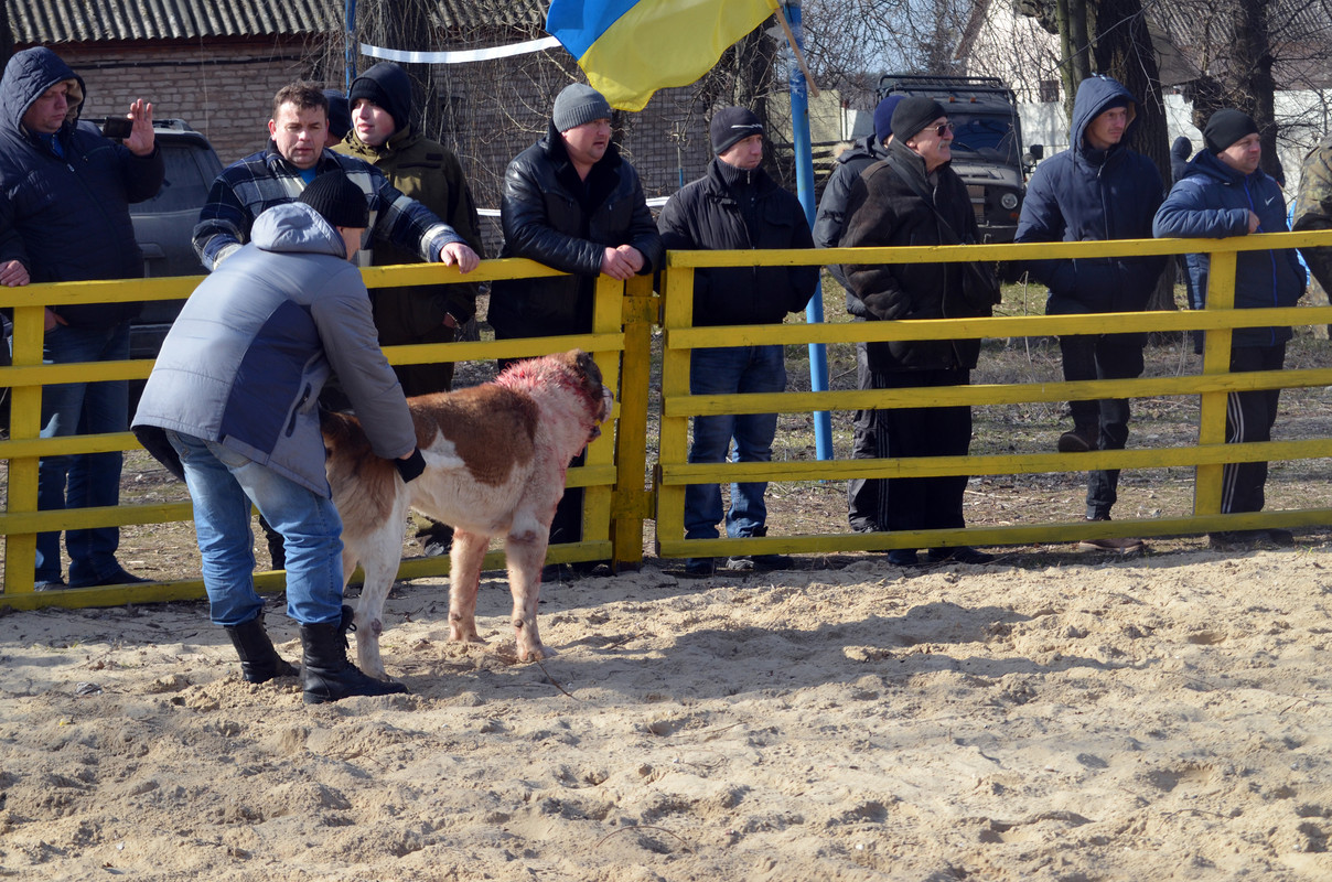 DSC 0369 — Postimages