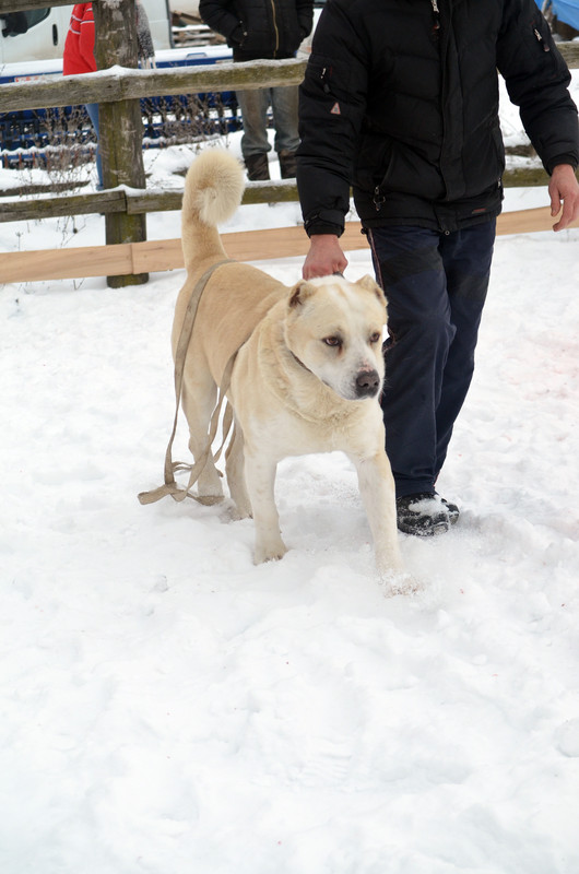 DSC 0333 — Postimages