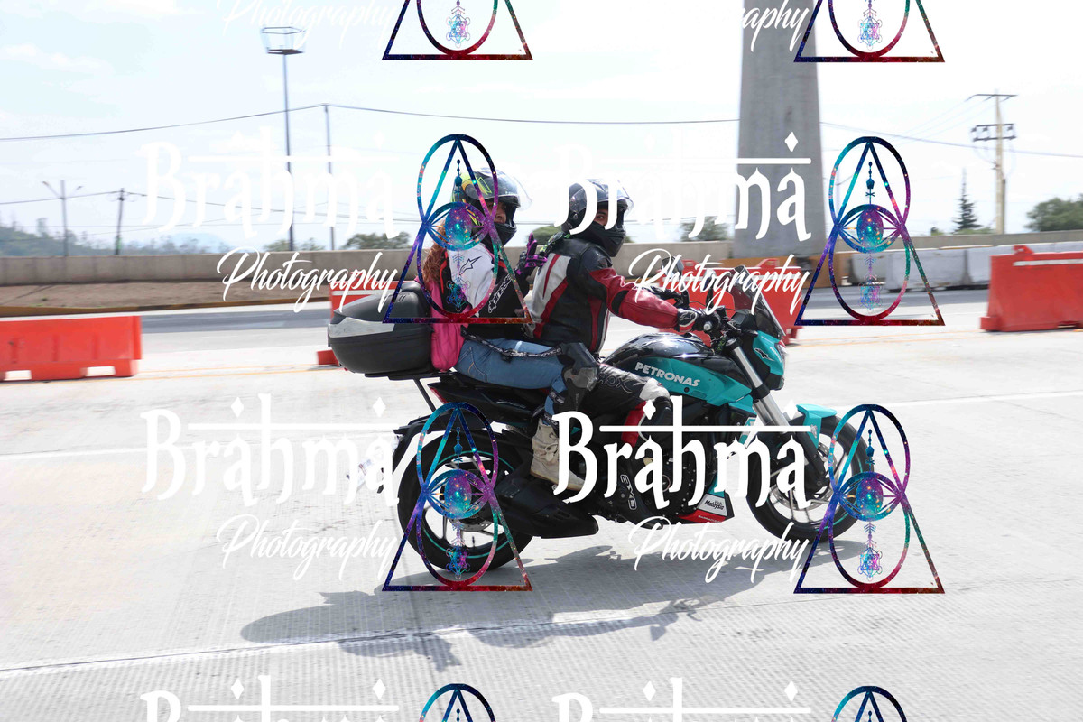 IMG 3319 — Postimages