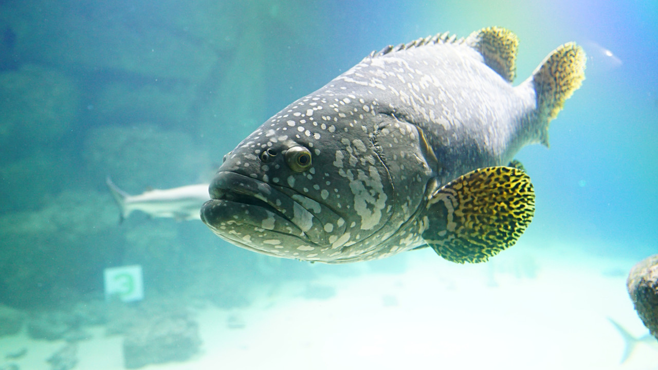 DSC00867 JPG 1 — Postimages