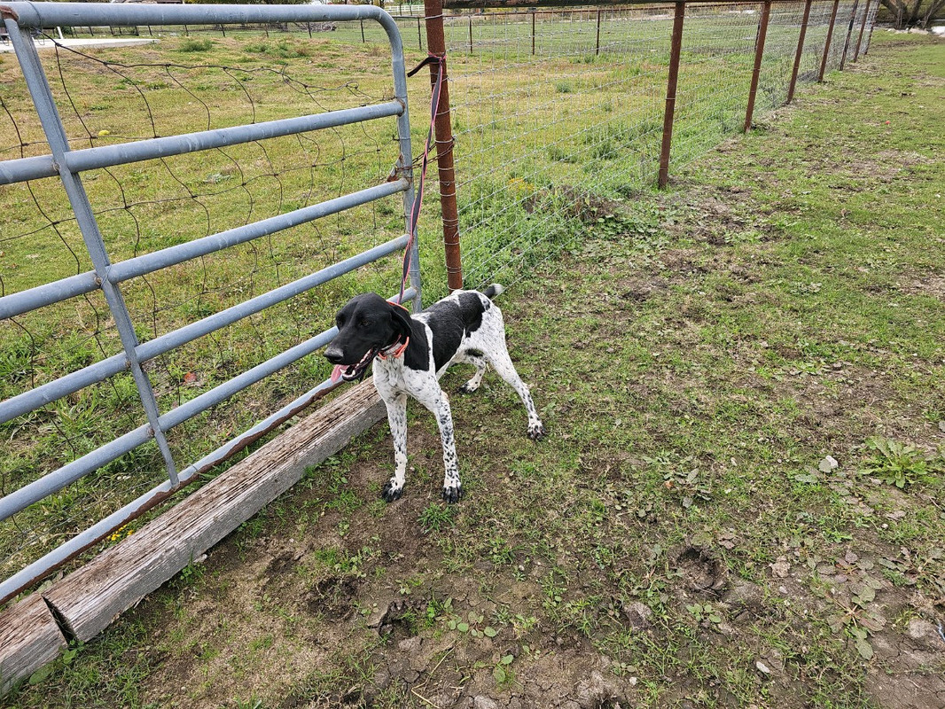 output image1699823204268 — Postimages