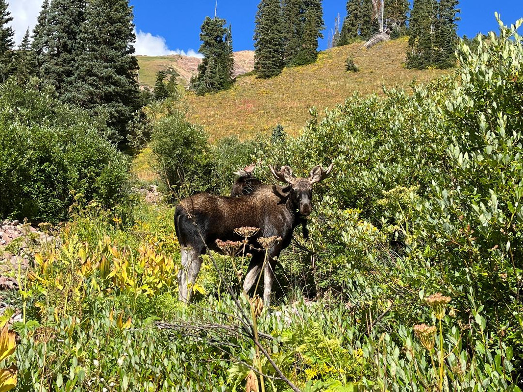 thumbnail 2023 10 02 T194613 259 — Postimages