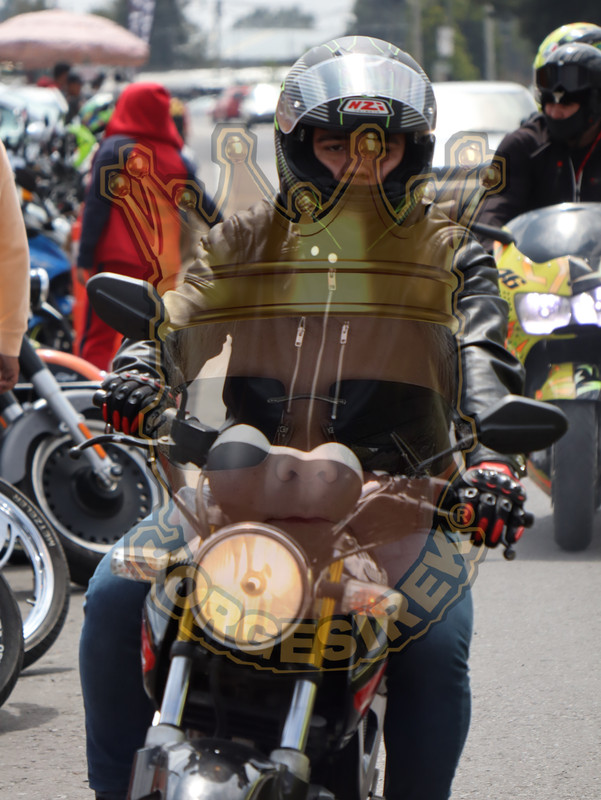 IMG 2024 — Postimages