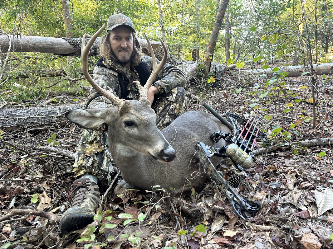 IMG 3441 — Postimages