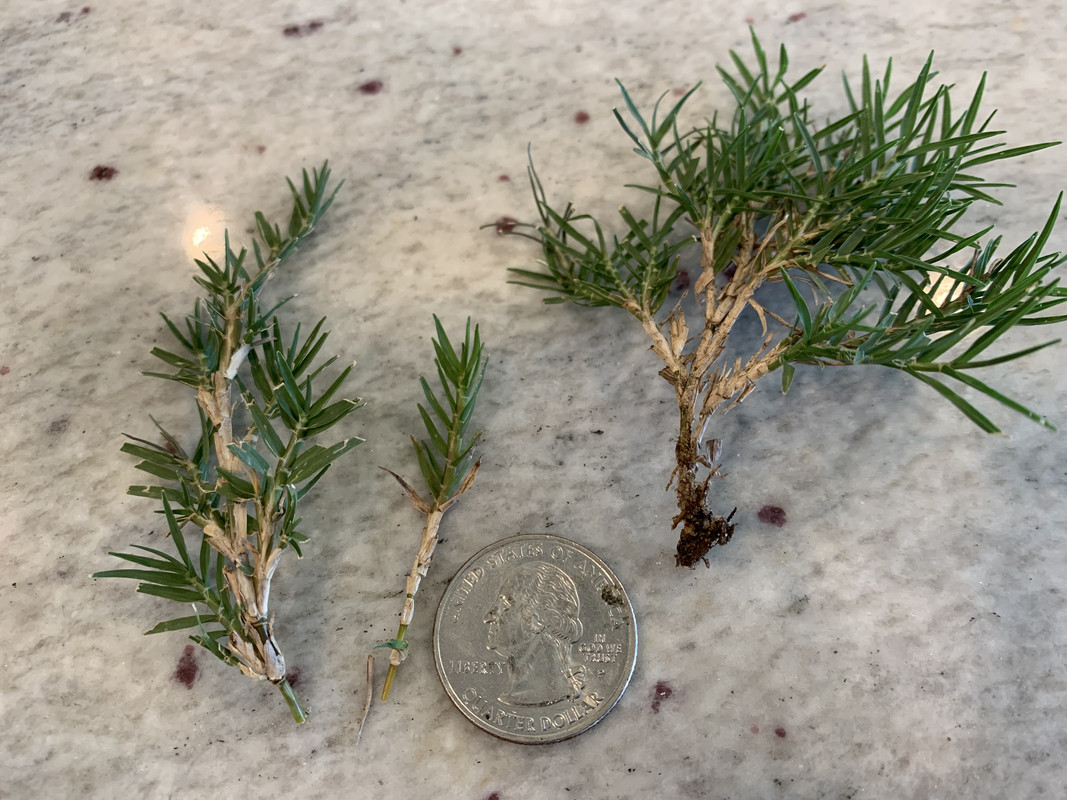 IMG 2877 — Postimages