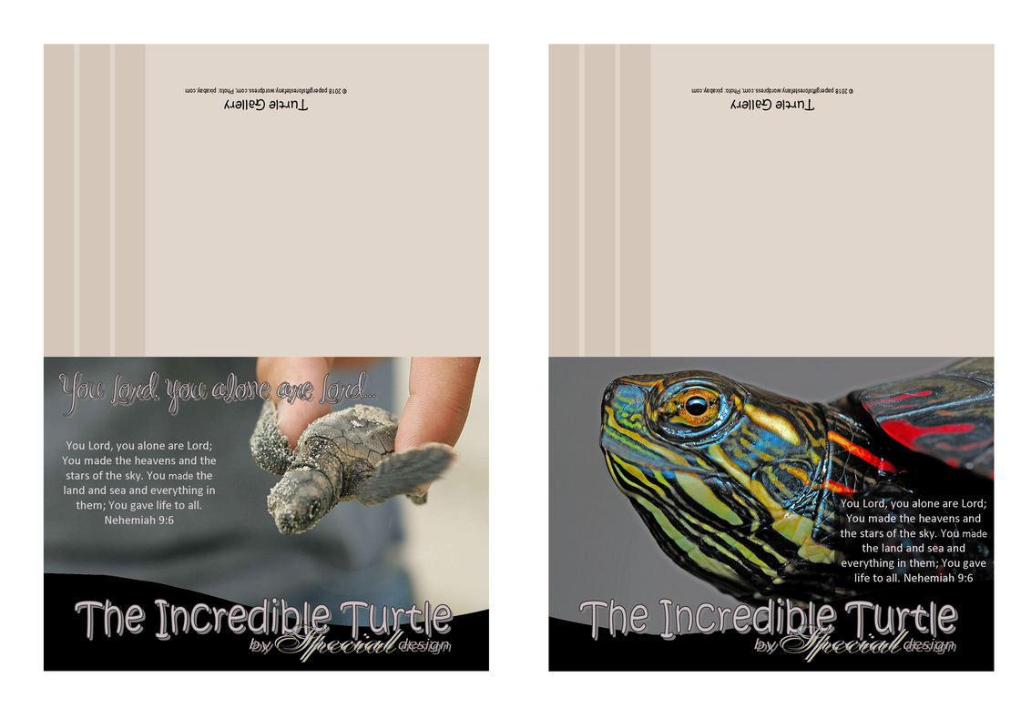 Turtle Photo Note Cards1 A4 — Postimages