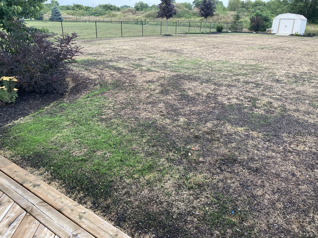 88 B00 FBF 7 DB2 46 E0 9 FE6 146 F69 FBDA28 — Postimages