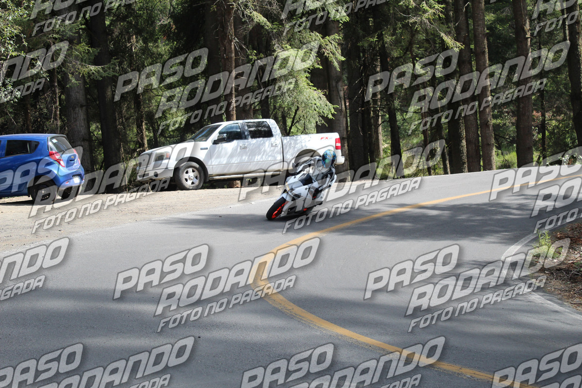 IMG 9016 wm 112911 60000000056 watermarked — Postimages