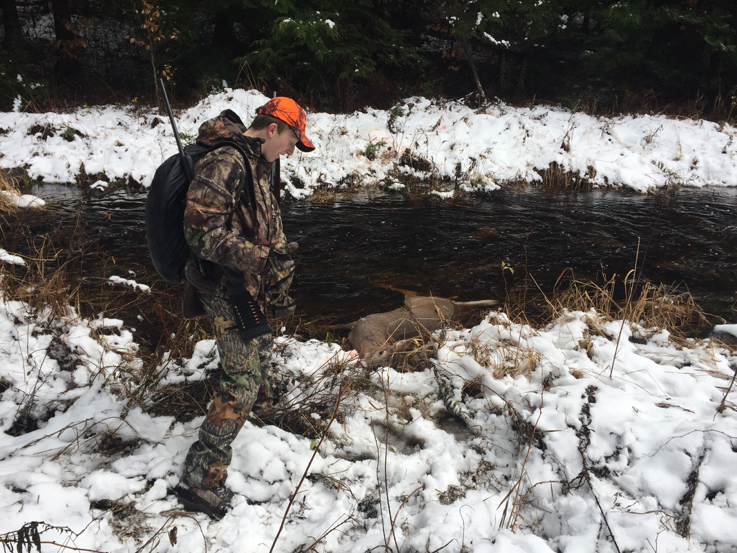 IMG 0581 — Postimages