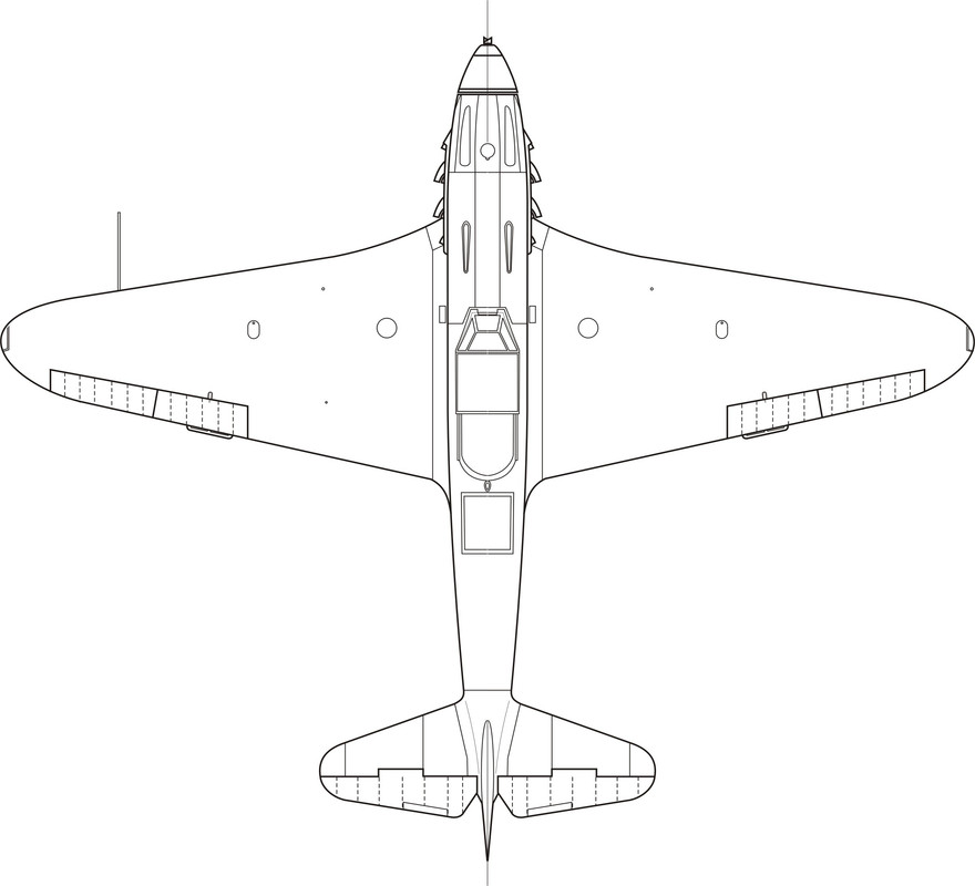 Graphic Top — Postimages