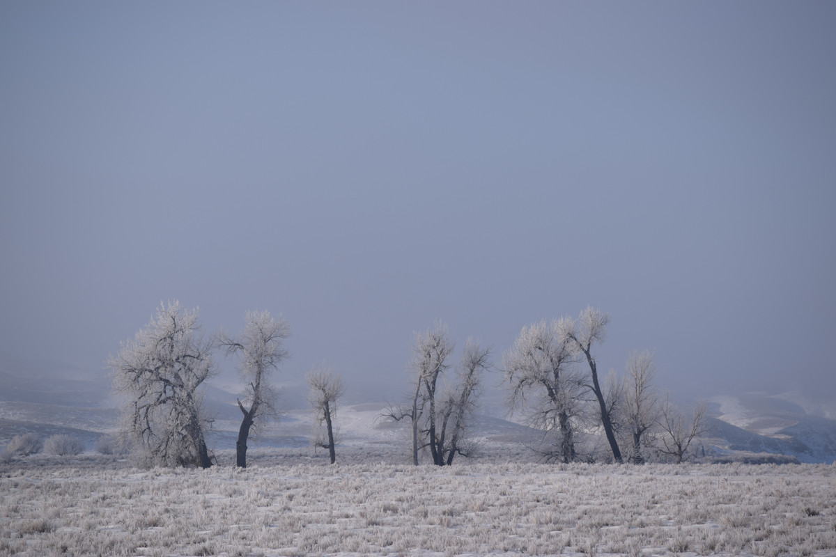 DSC 0063 — Postimages