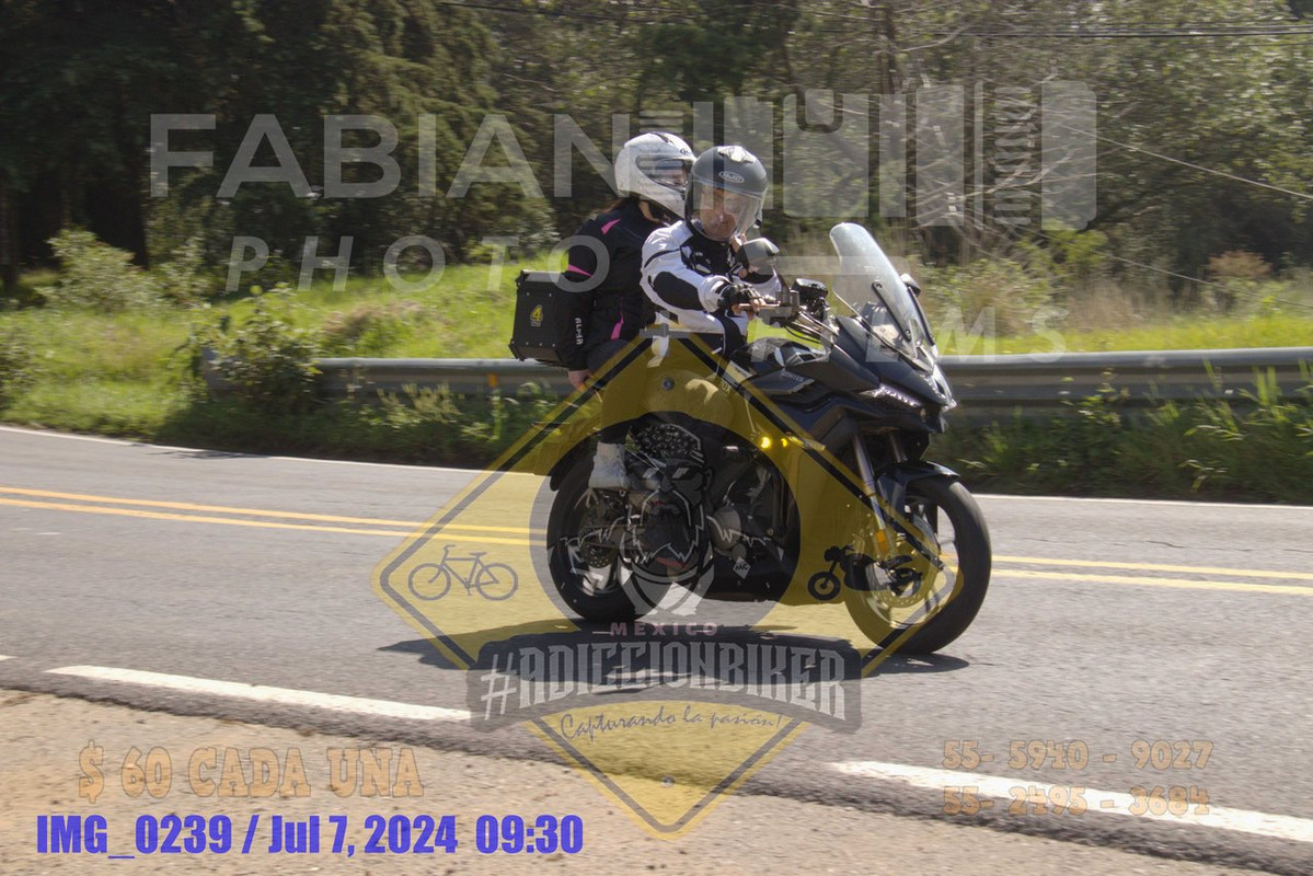 IMG 0239 — Postimages