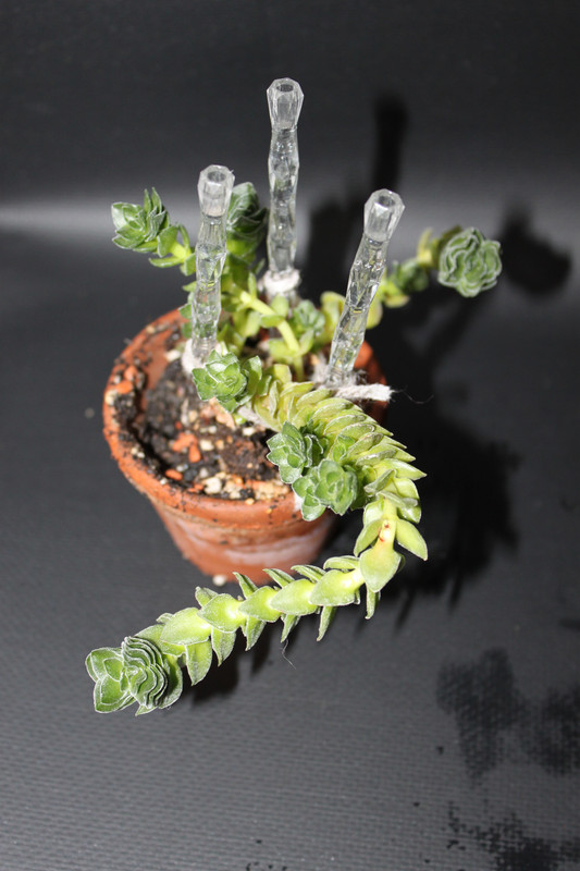 IMG 0169 — Postimages