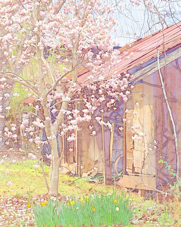 Galleria: The Paint.NET Art Gallery - The Pictorium - Paint.NET Forum