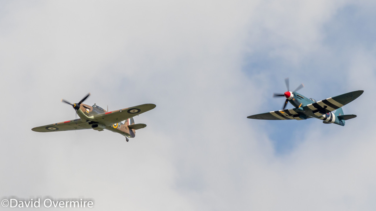 IMG 8251 — Postimages