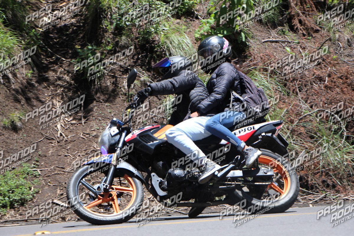 IMG 1895 wm 96813 59999999963 watermarked — Postimages