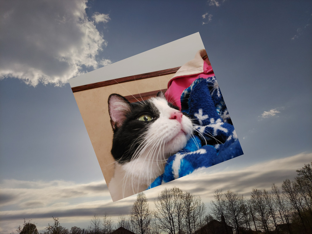 20220501 180026 — Postimages