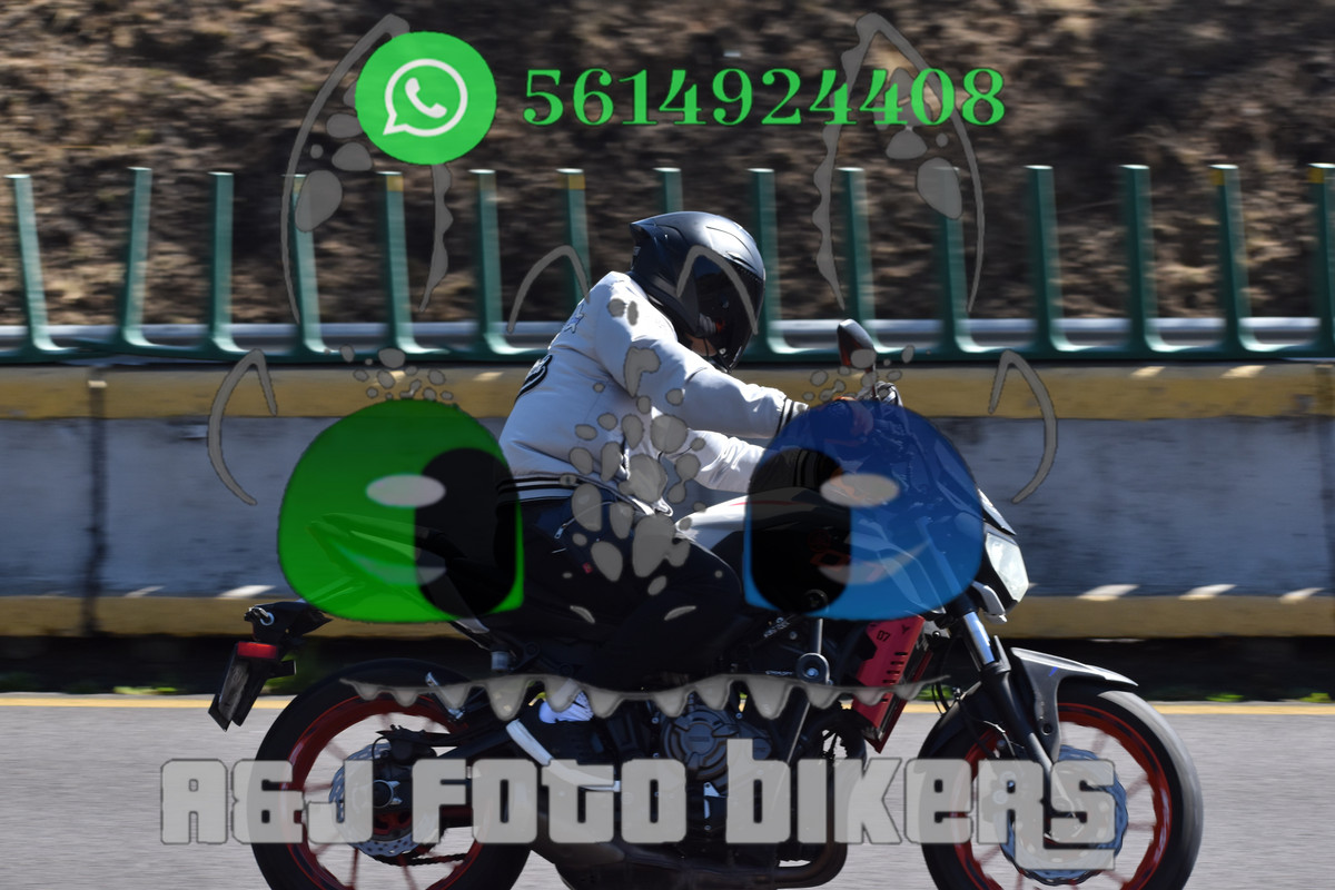 AVQ 1768 — Postimages