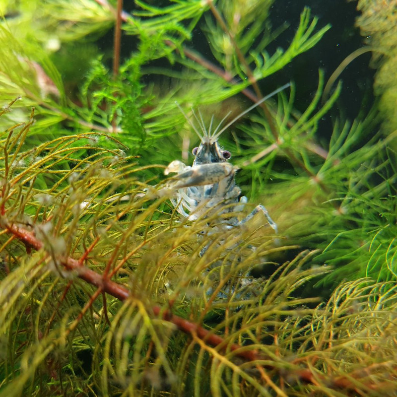 20210311 235529 (1) — Postimages