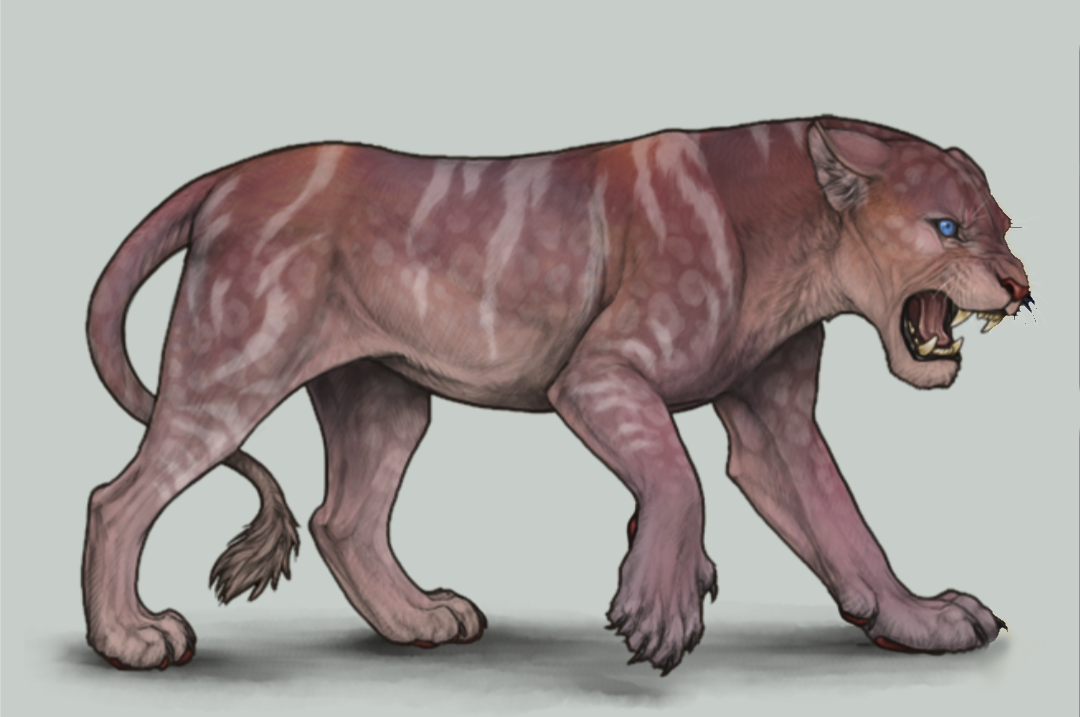 12/18/24-1/14/25 Project: CHASED! :|: Lioden