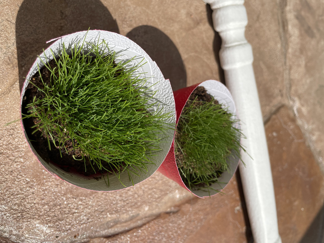 IMG 3258 — Postimages