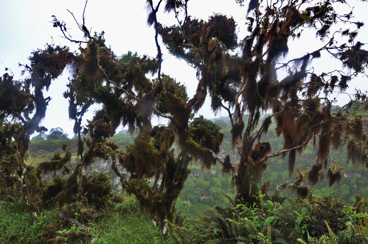 DSC 0872 — Postimages