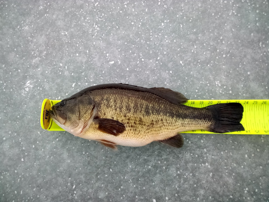 IMG 20230219 111637 (1) — Postimages