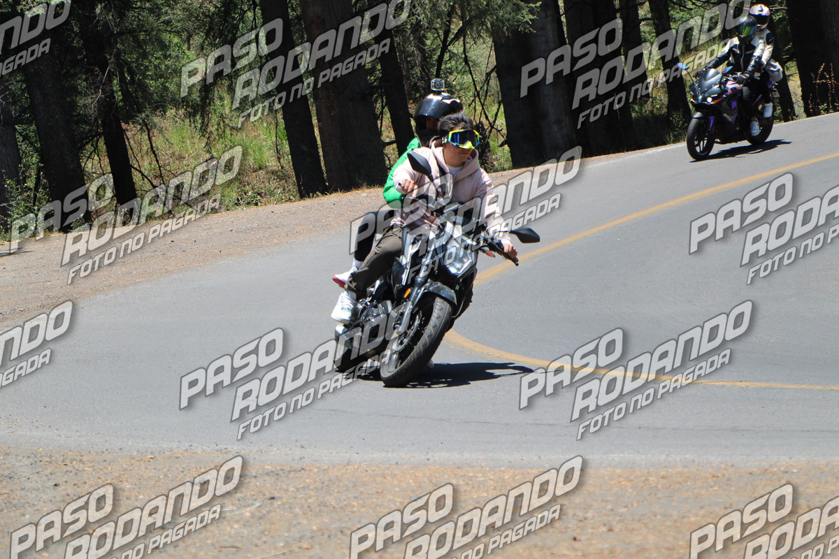 IMG 4571 wm 276807 2999999989 watermarked — Postimages