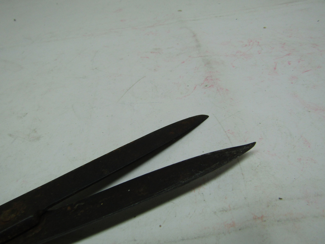 IMG 9012 — Postimages