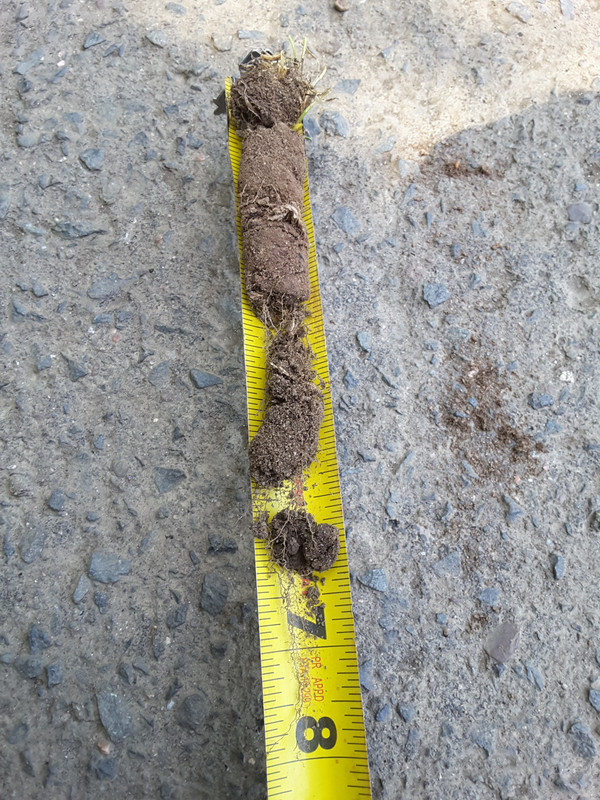 Kbg...8" Deep | Lawn Care Forum