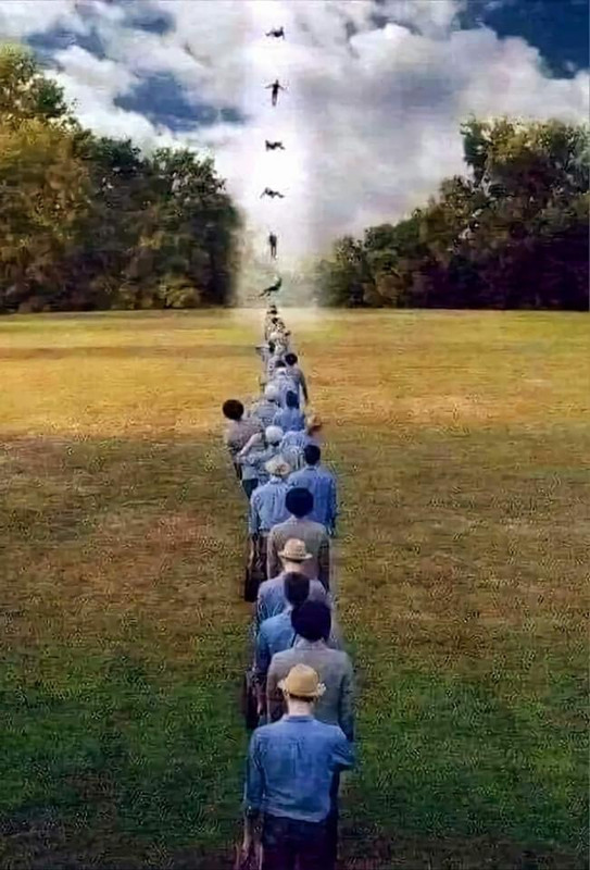 7 B09 Dd56 Caeb 43 B4 8 Dea 1 F0755 D76 E9 B — Postimages