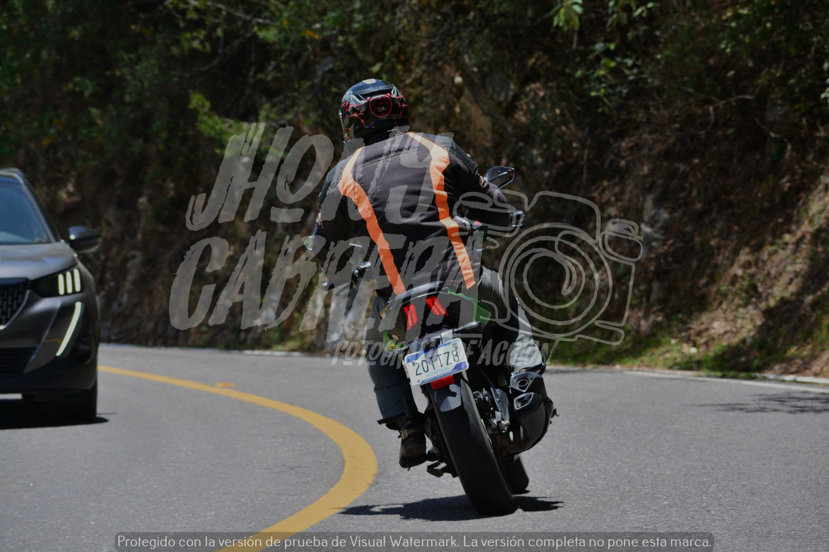 DSC 1211 — Postimages