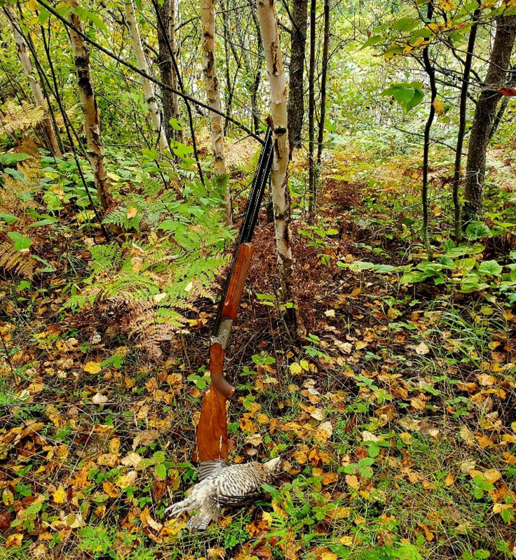 20220924 093538 resized — Postimages