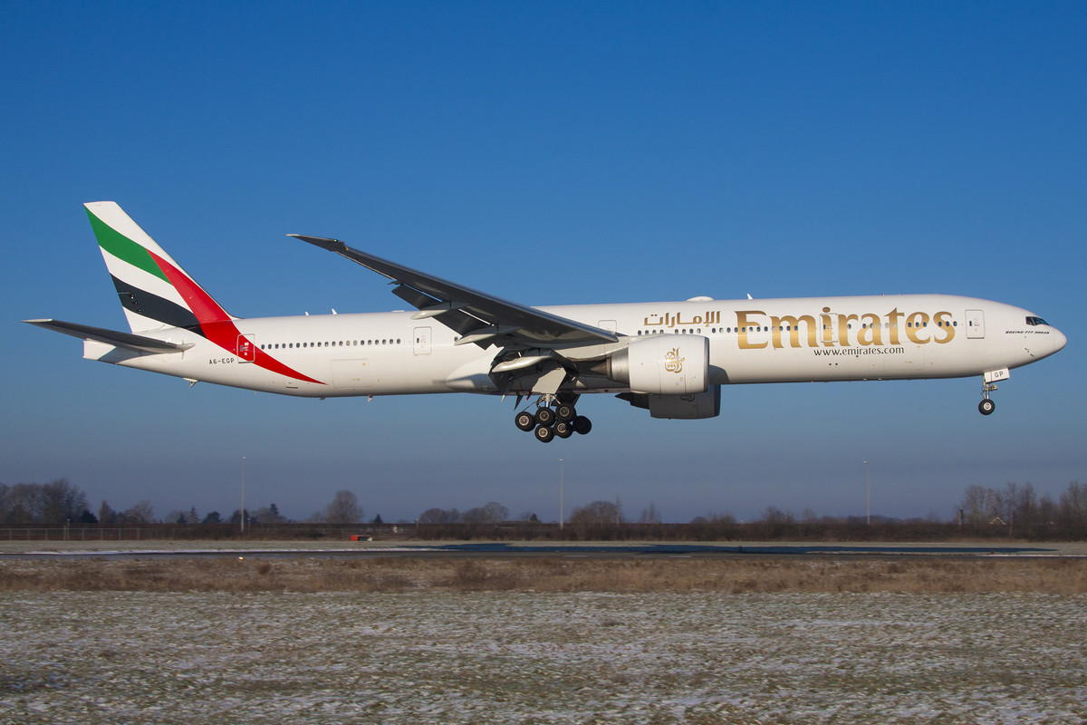 A6 EGP IMG 9268[1] — Postimages