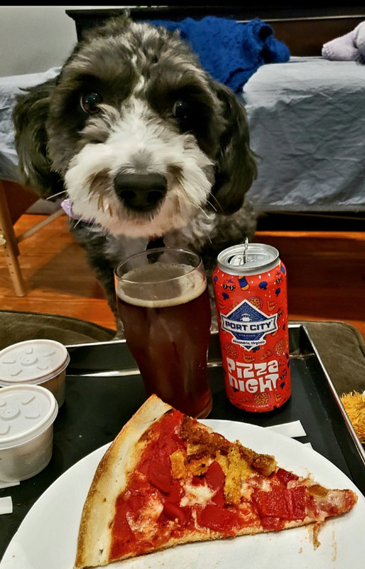 20240824 204056 — Postimages