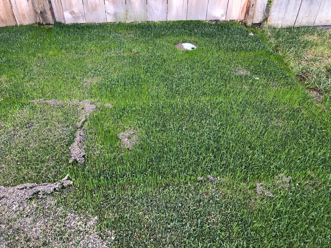 CC74 FB05 1497 4490 8825 ABF510836 D4 D — Postimages