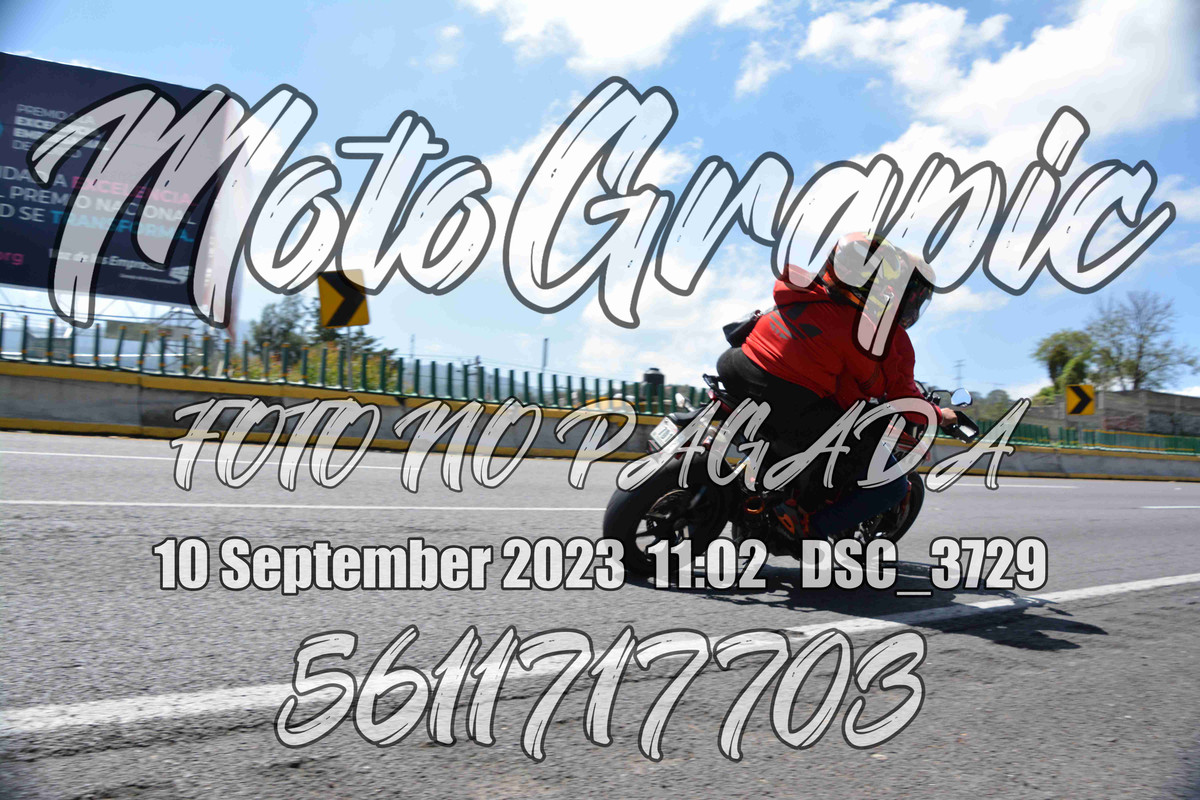 motgr DSC 3729 — Postimages