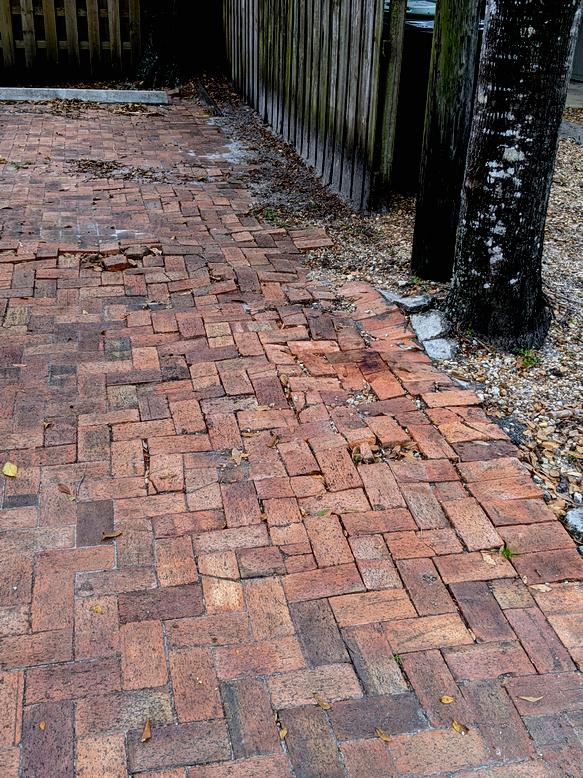 Tree roots under brick driveway | DIY Home Improvement Forum