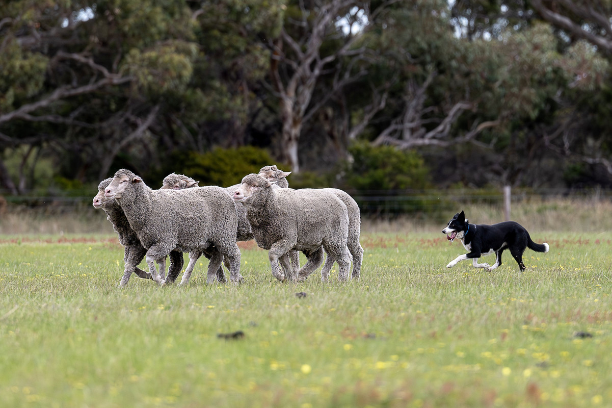 20210101 DSC 7174 2 Enhanced NR — Postimages