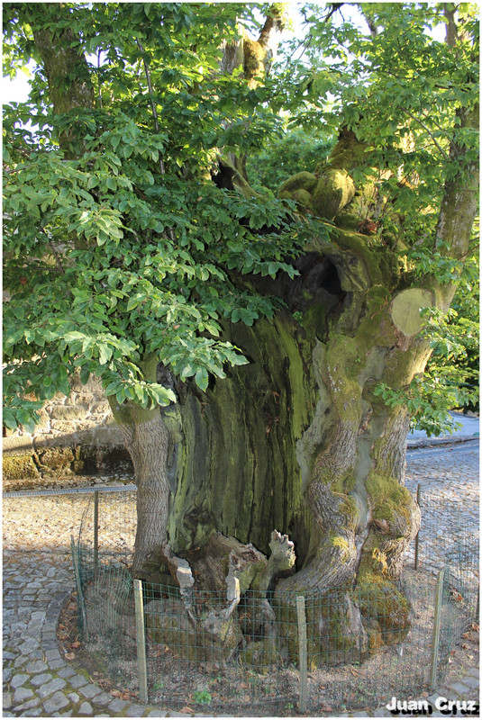 IMG 0844 Resultado — Postimages