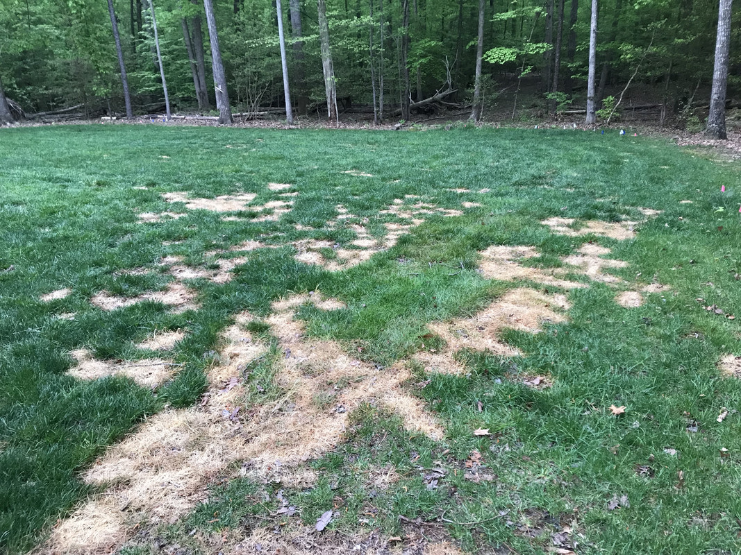 IMG 3875 — Postimages