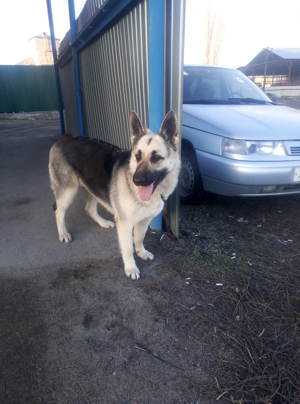 35393c5f da3a 40e0 9dd0 f8532f2f863e — Postimages