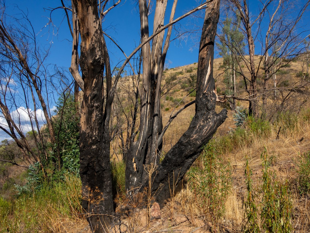 sin ti tulo 06638 — Postimages