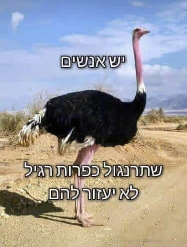 image001 — Postimages