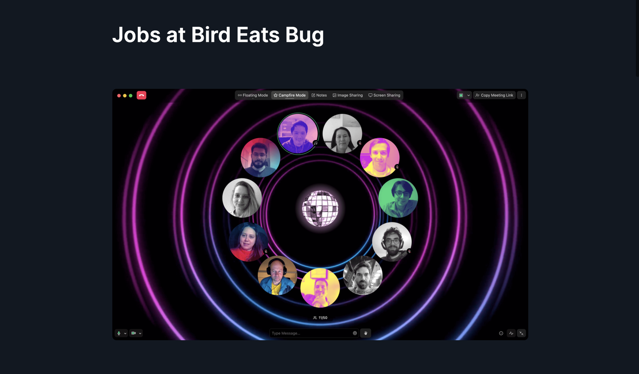 Build the world's best bug tracking tool with us! | Jobs @ Bird Eats Bug